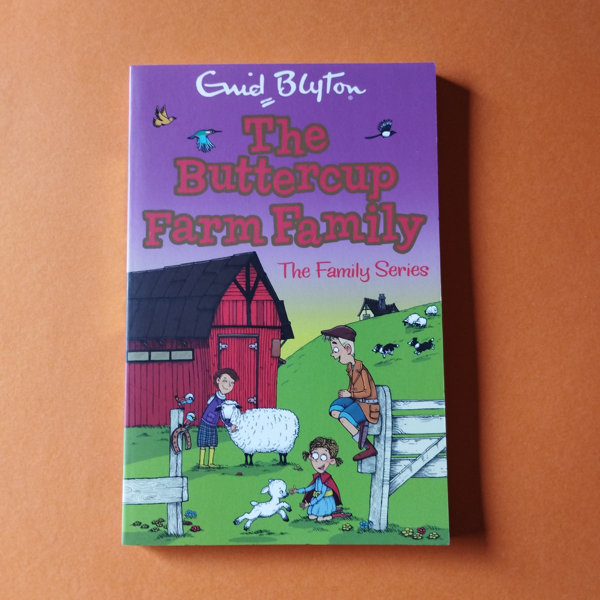The Buttercup Farm Family – Librairie William Crocodile