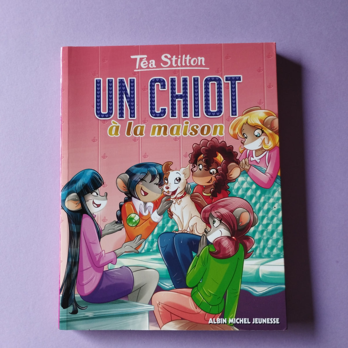 Téa Stilton. 29. Un chiot à la maison – Librairie William Crocodile
