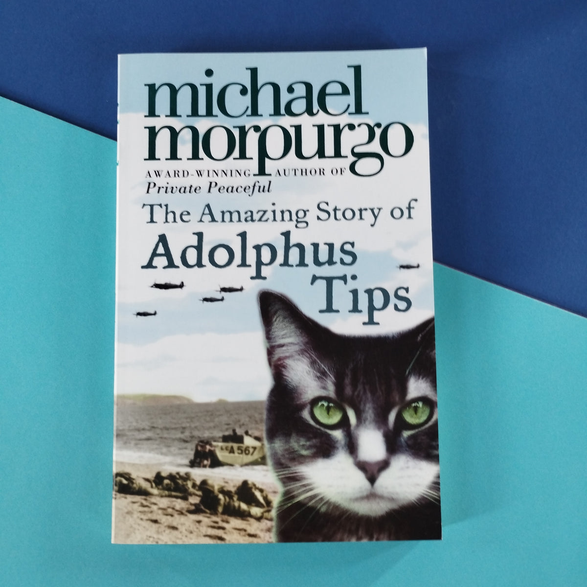 The Amazing story of Adolphus Tips – Librairie William Crocodile