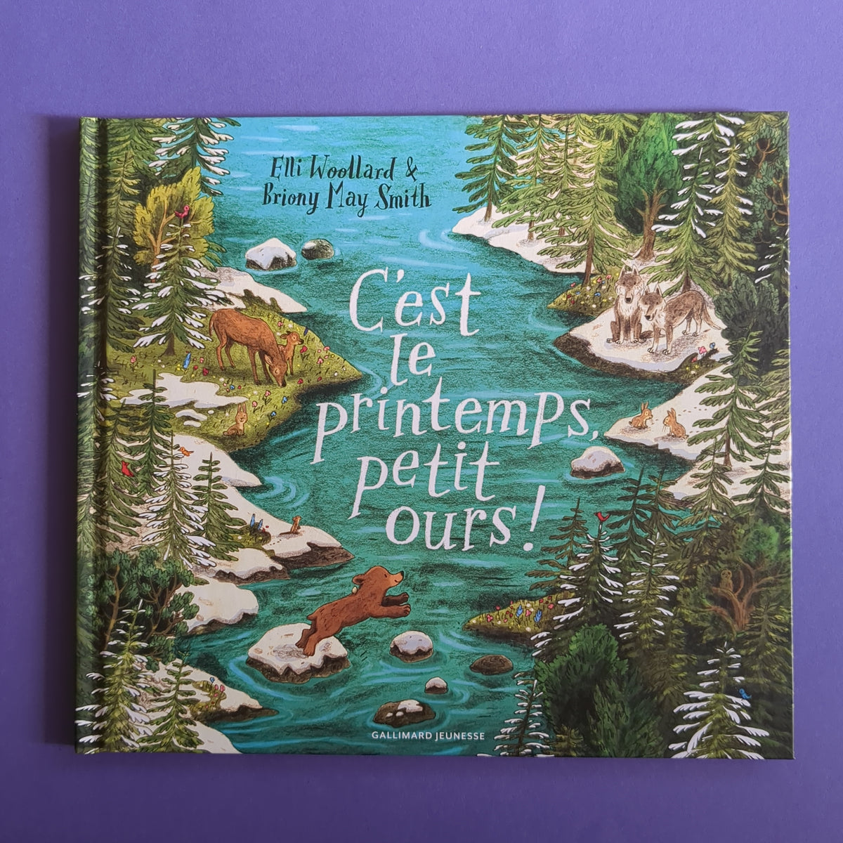 C'est le printemps, petit ours ! – Librairie William Crocodile