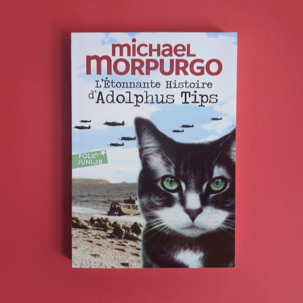 L'Etonnante Histoire d'Adolphus Tips – Librairie William Crocodile