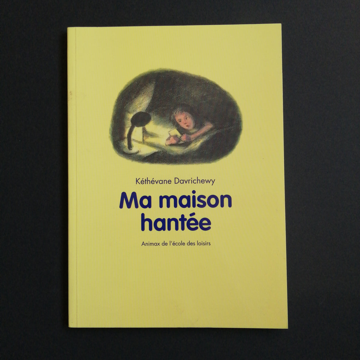 Ma maison hantée – Librairie William Crocodile