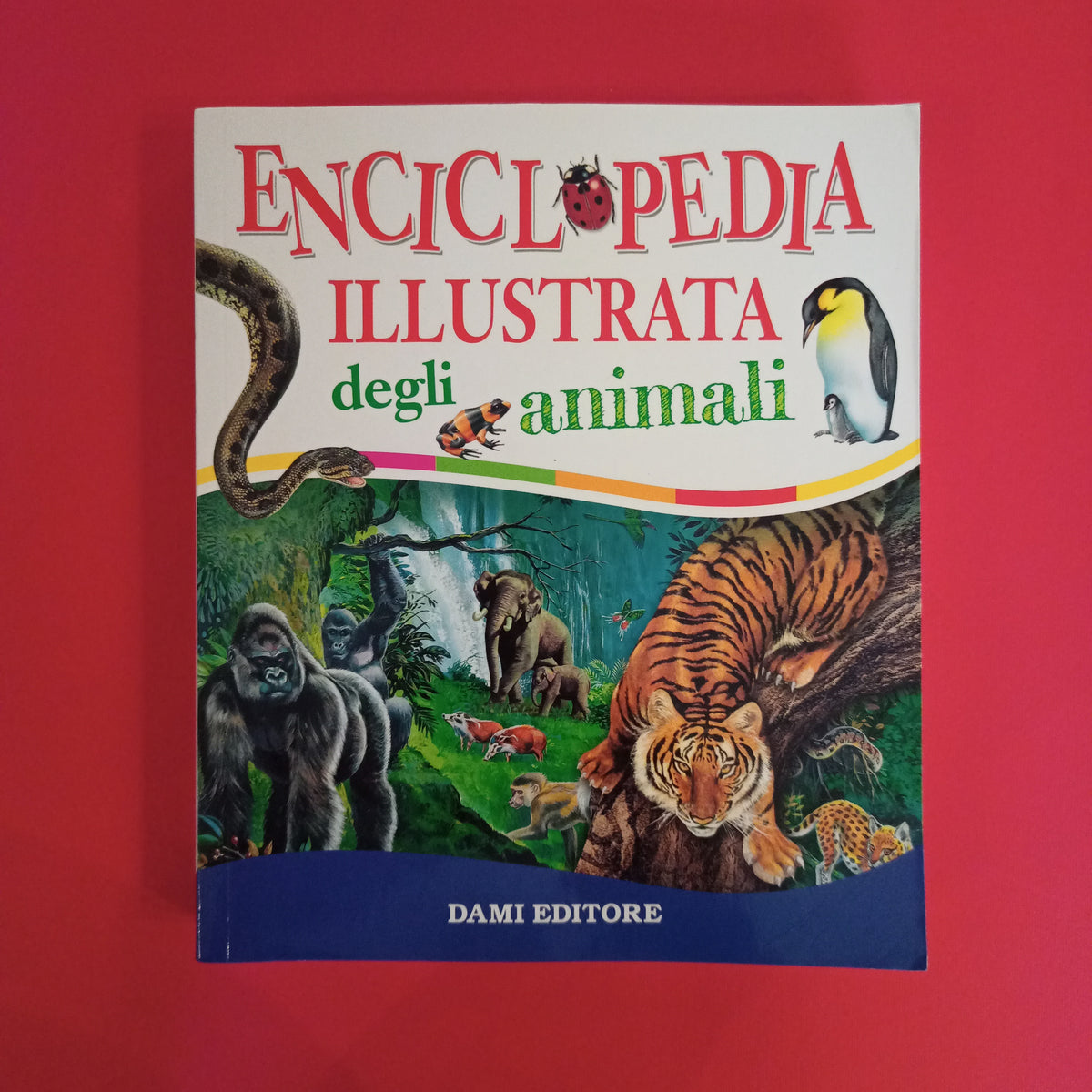 Enciclopedia illustrata degli animali – Librairie William Crocodile