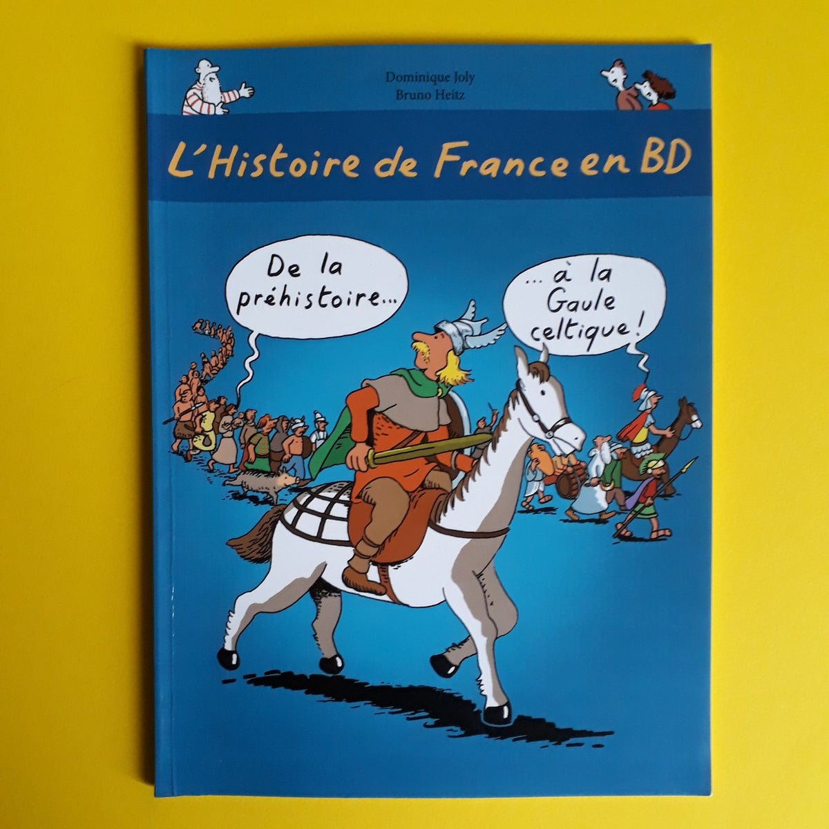 Histoire de France en BD. De la préhistoire à la Gaule celtique ...