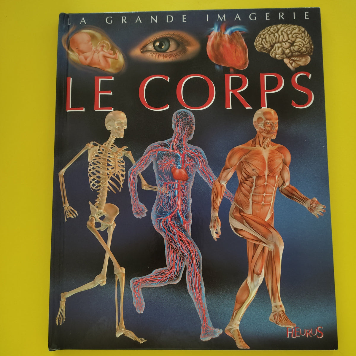 Le corps – Librairie William Crocodile