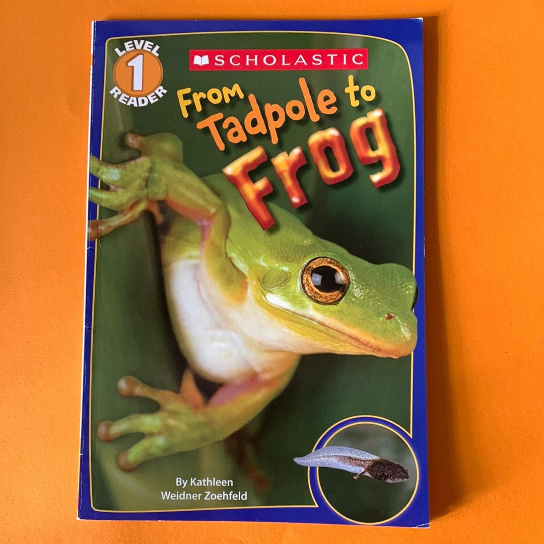 Scholastic reader. From tadpole to frog – Librairie William Crocodile
